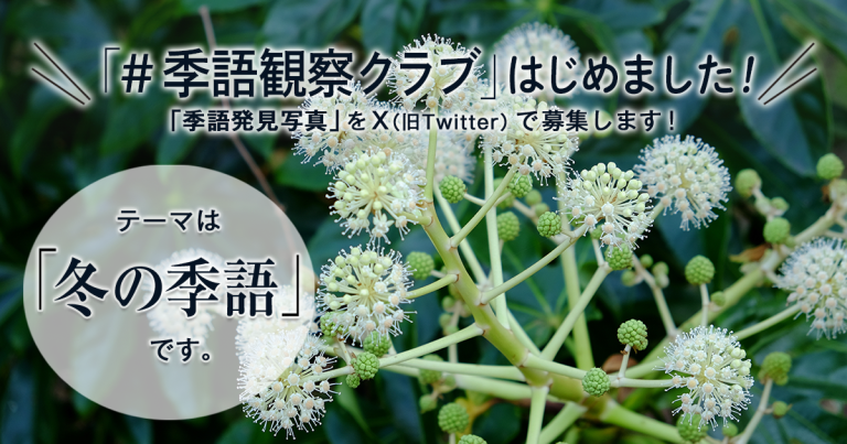2025年11月末の商品発送について | NHK出版からのお知らせ