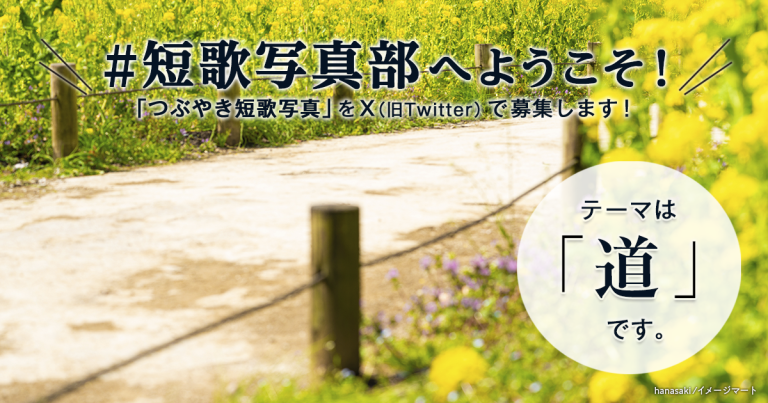 2025年11月末の商品発送について | NHK出版からのお知らせ